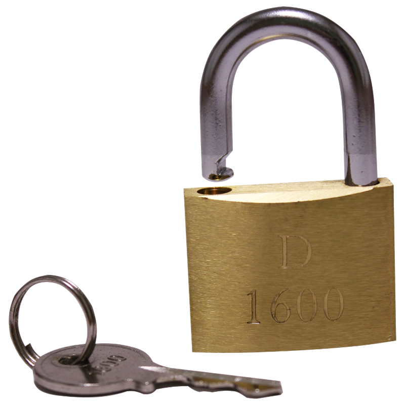 Brass Dolphin-Style Padlock D-1600 with 35mm Key | Enviro-Equipment Inc